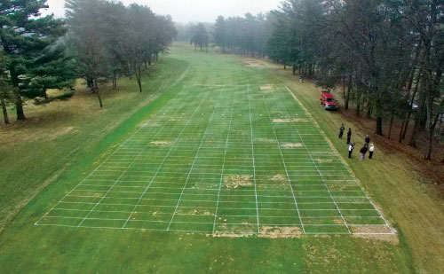 One snow mold fungicide to rule them all? | Golfdom
