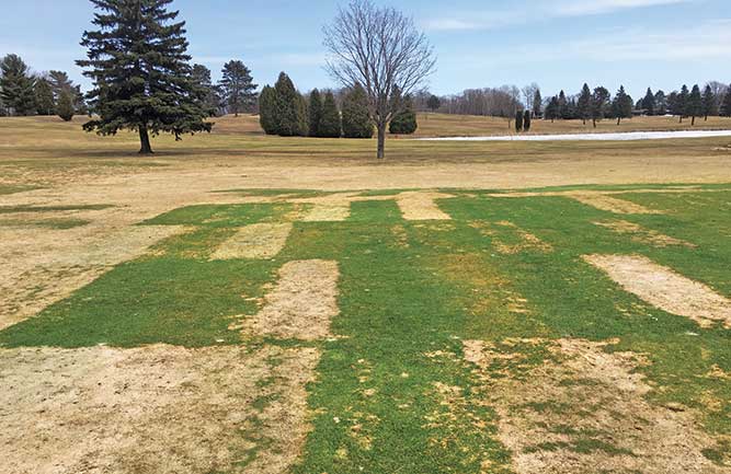 The thin white line: Snow mold control | Golfdom