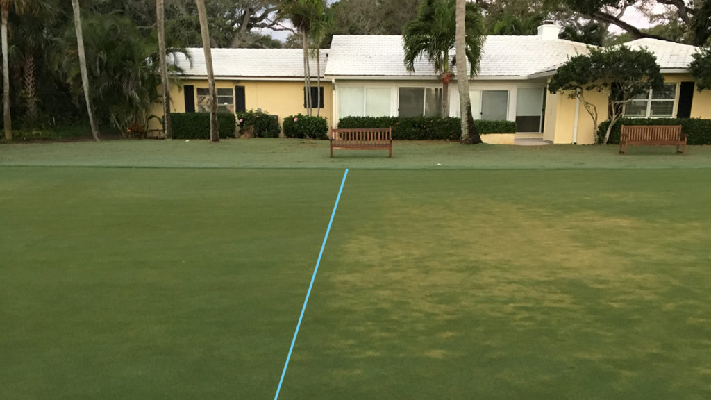 Golfdom — Condition. Perform. Recover. Divanem: An outstanding tool for ...