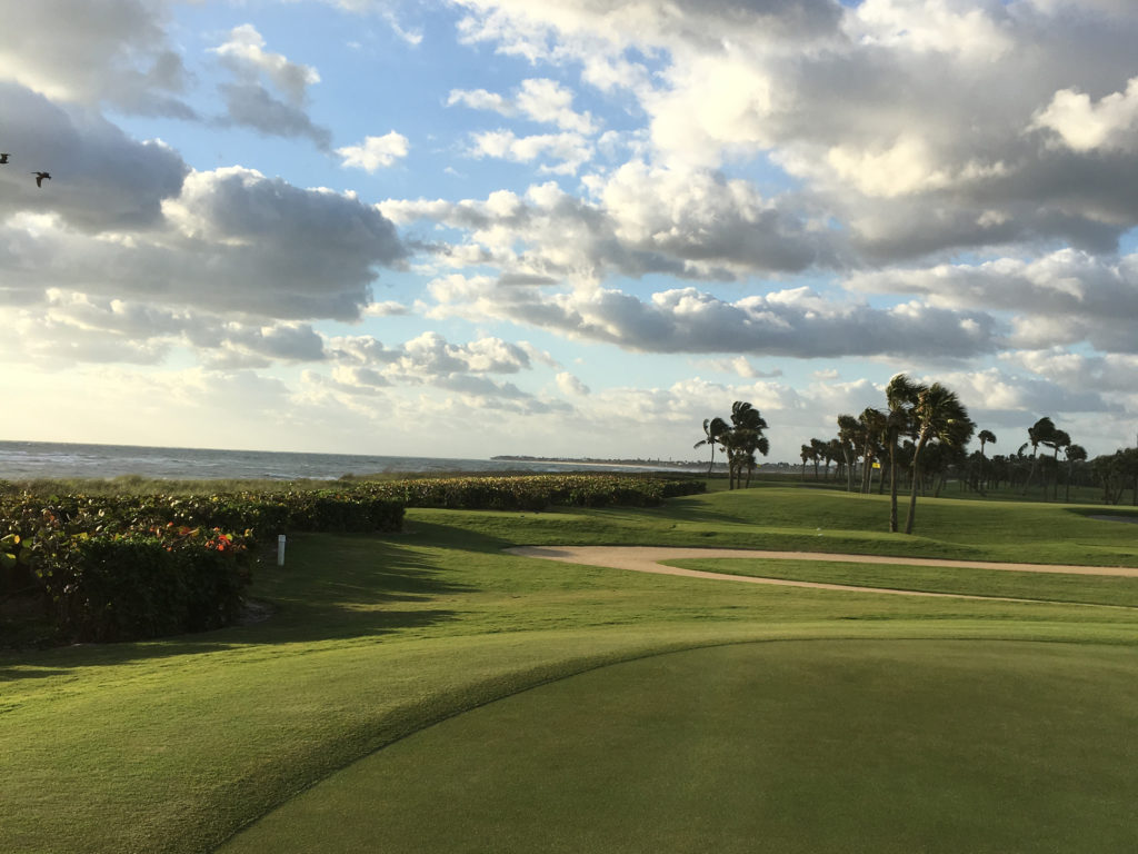 Golfdom — Condition. Perform. Recover. Divanem: An outstanding tool for ...