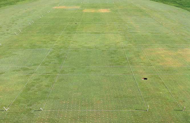 Controlling annual bluegrass on golf course putting greens | Golfdom ...