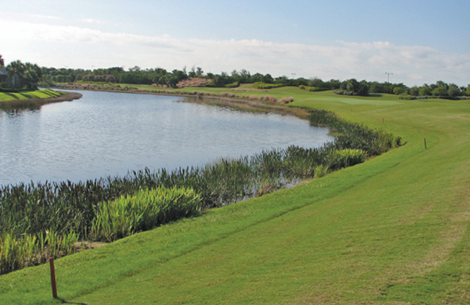 Best practices for water management on golf courses | Golfdom