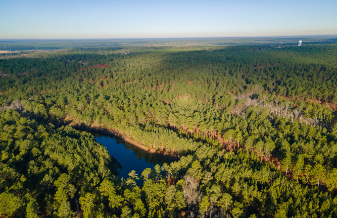 Course of the Week: Tom Doak to design Pinehurst Resort's 10th course ...