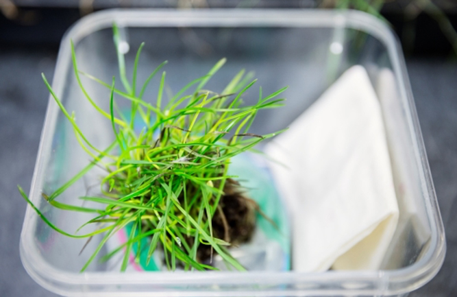 USGA and the R&A partner to improve sustainable golf course and ...