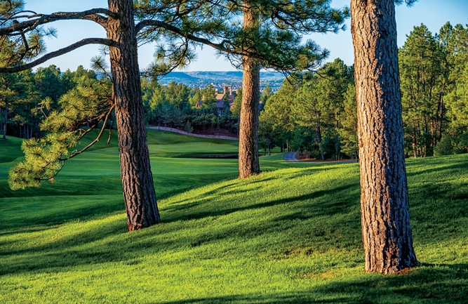 Trevor Meints shares his sod secrets to get Castle Pines GC ready for ...