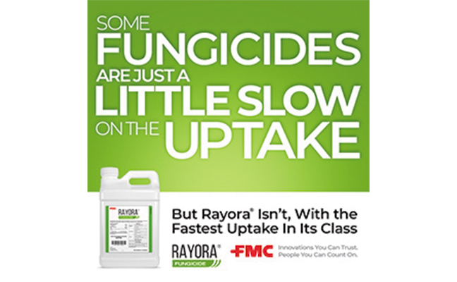 FMC: Rayora Fungicide | Golfdom
