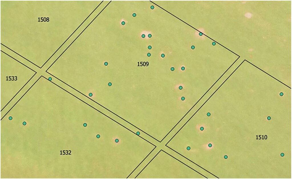 Virginia Tech researchers unveil precision technology for spring dead ...
