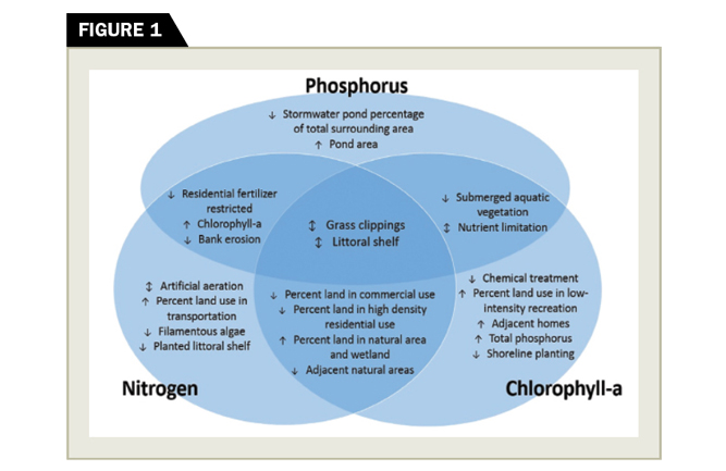 Key factors affecting nutrient levels and algae growth in stormwater ...