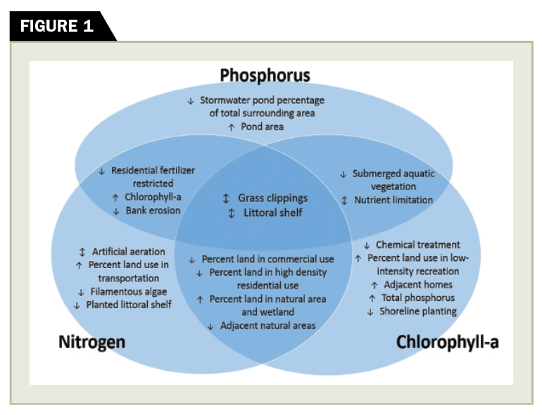 Key factors affecting nutrient levels and algae growth in stormwater ...