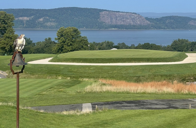 Turf Post of the Month: Spectators are out early! | Golfdom
